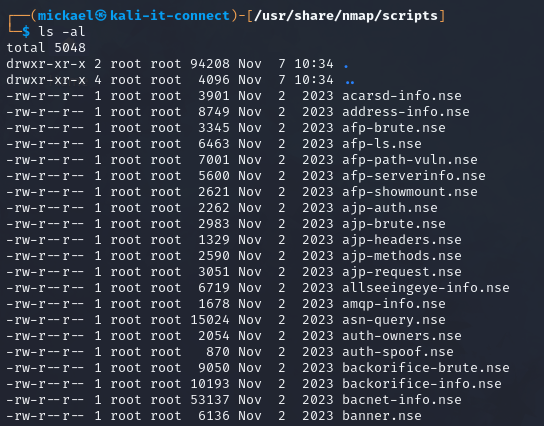 Nmap - Comment utiliser les scripts NSE