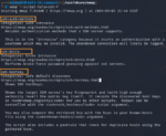 Nmap - Comment utiliser les scripts NSE