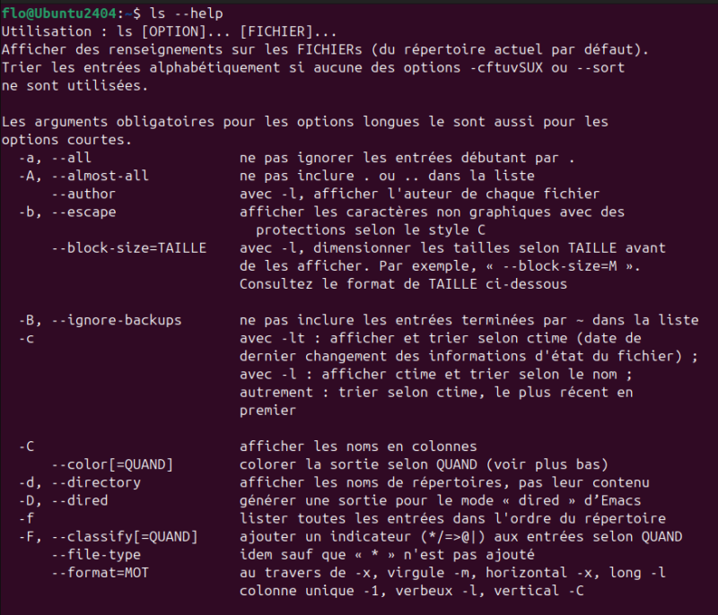 Script Bash sous Linux : comment créer son premier script