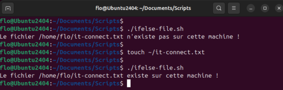 Maîtriser les conditions If, Else et Elif en Bash
