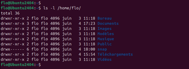 Script Bash sous Linux : comment créer son premier script
