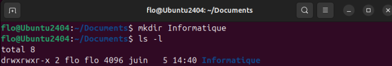 Script Bash sous Linux : comment créer son premier script