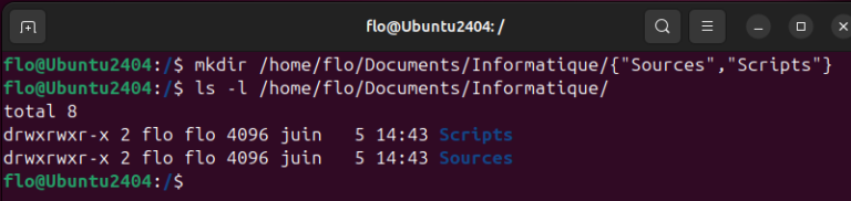 Script Bash sous Linux : comment créer son premier script