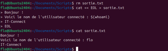 Écrire dans un fichier avec un script Bash sous Linux