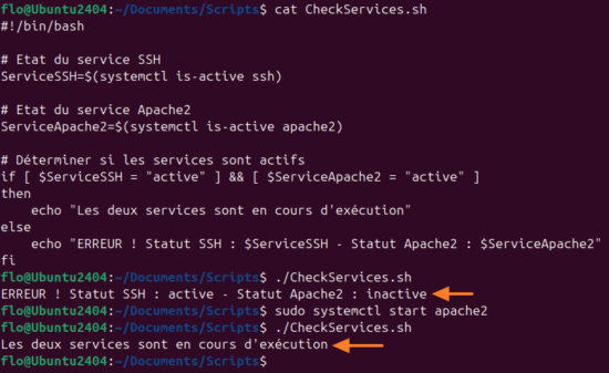 Maîtriser les conditions If, Else et Elif en Bash