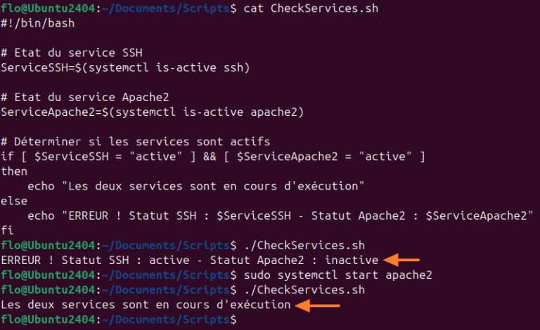 Maîtriser les conditions If, Else et Elif en Bash