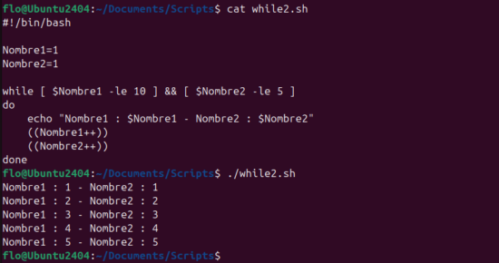 Maîtriser la boucle While dans les scripts Bash - Linux
