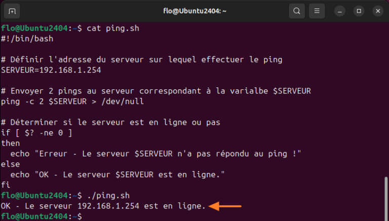 Script Bash sous Linux : comment créer son premier script