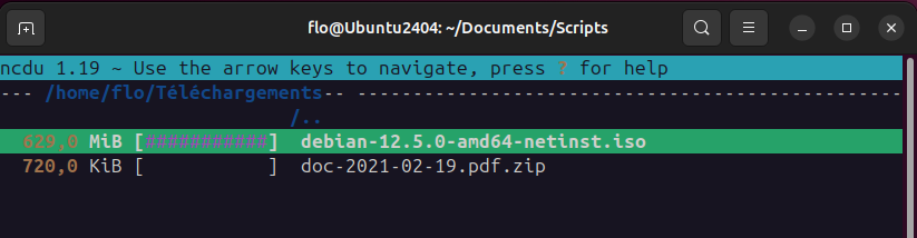Linux - ncdu : afficher la taille des dossiers en console