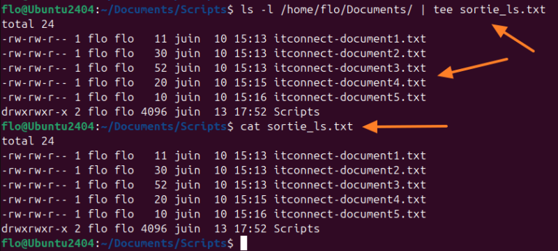 Écrire dans un fichier avec un script Bash sous Linux