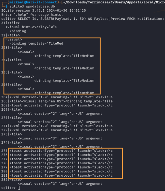 Hack the Box - Sherlocks : découverte et solution de Jingle Bell