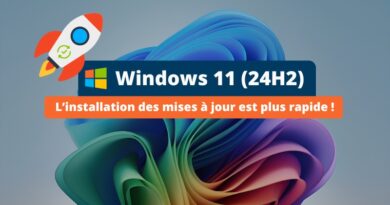 Tiny11, une version light de Windows 11 23H2