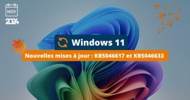 Tiny11, une version light de Windows 11 23H2