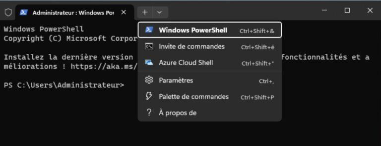 Quels sont les outils de gestion de Windows Server