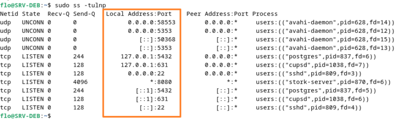 Réseau : lister les ports en écoute sous Linux avec lsof, netstat et ss – VSM World