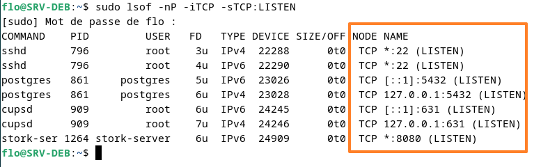 Réseau : lister les ports en écoute sous Linux avec lsof, netstat et ss – VSM World