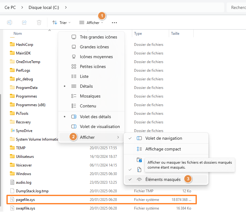 Windows 11 – Qu’est-ce que le fichier pagefile.sys ? Comment modifier ...
