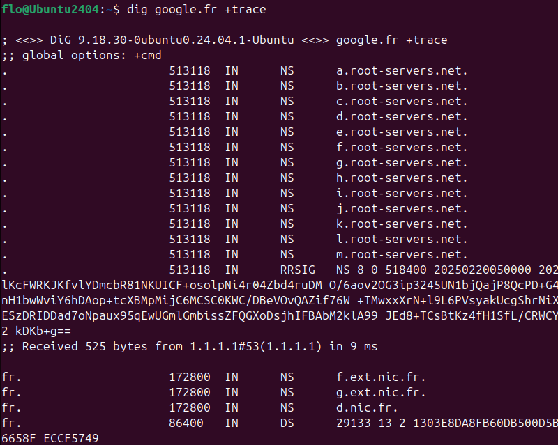 Linux : 15 commandes pour gérer et diagnostiquer le réseau