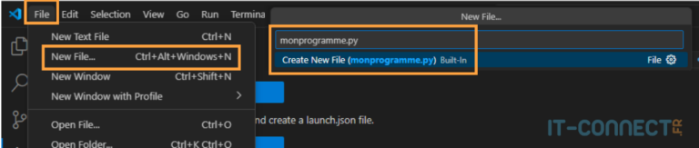 Débuter avec Python : écrire son premier script