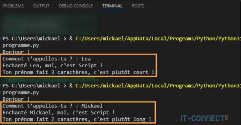 Débuter avec Python : écrire son premier script