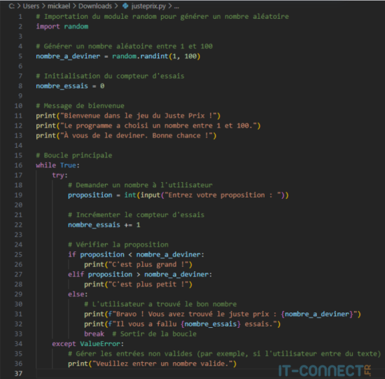 Débuter avec Python : écrire son premier script