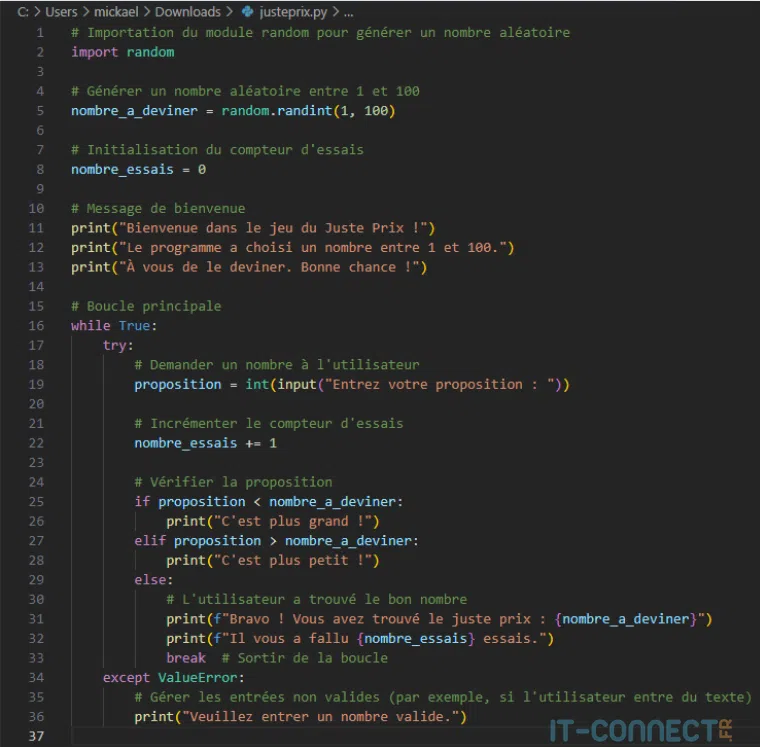 Débuter avec Python : écrire son premier script