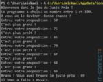 Débuter avec Python : écrire son premier script