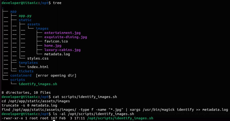 Hack The Box : solution du challenge Titanic