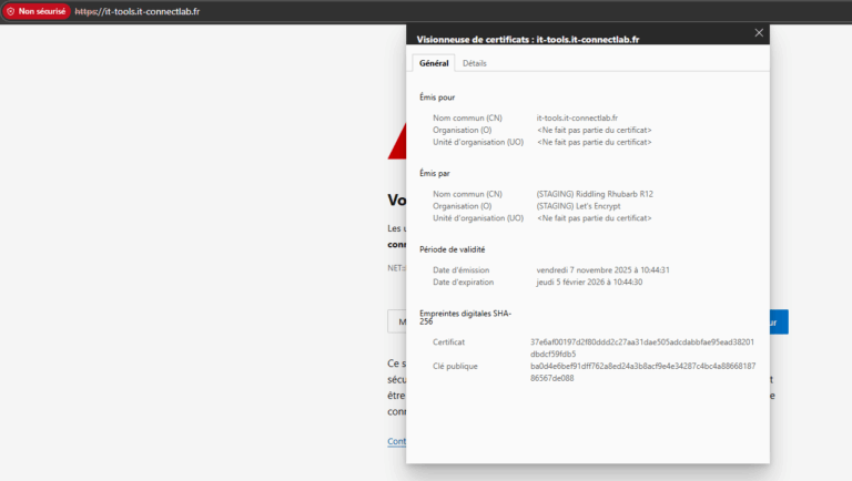 Guide Traefik : exposer des apps Web avec un reverse proxy
